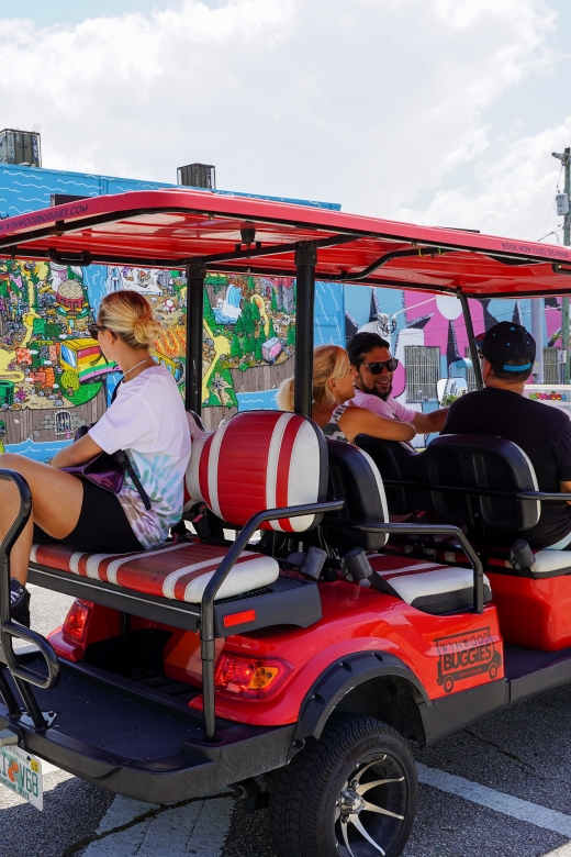 Wynwood Art District 1-Hour Wynwood Buggies Street Art Tour - Final Thoughts: Is This the Right Tour for You?