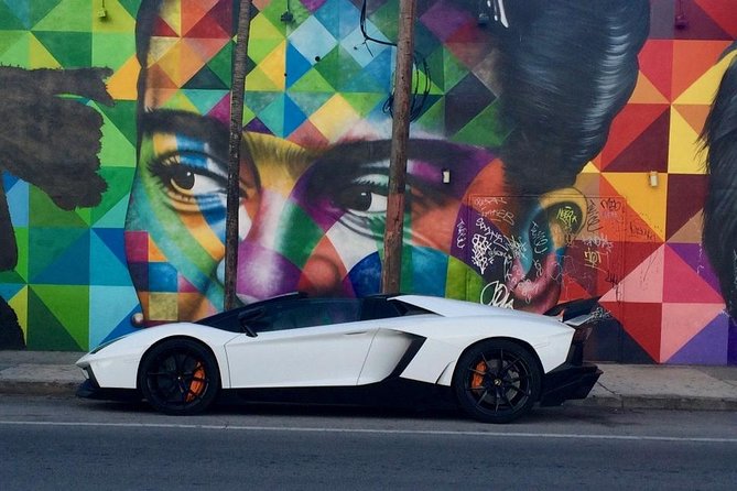 Wynwood French Guided Tour - Street Art - The Sum Up