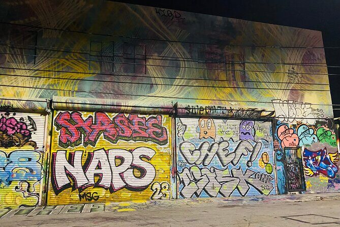 Wynwood Graffiti Golf Cart Tour After Dark - Who Should Consider This Tour?