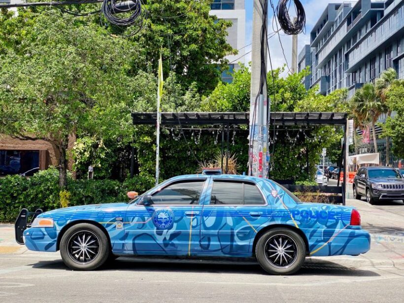 Wynwood walking tour in French (2h) - The Residential Side of Wynwood