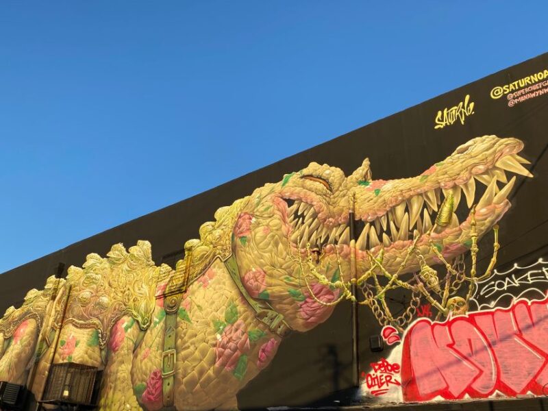 Wynwood walking tour in French (2h) - Discovering Wynwood: The Neighborhood’s Artistic Heart