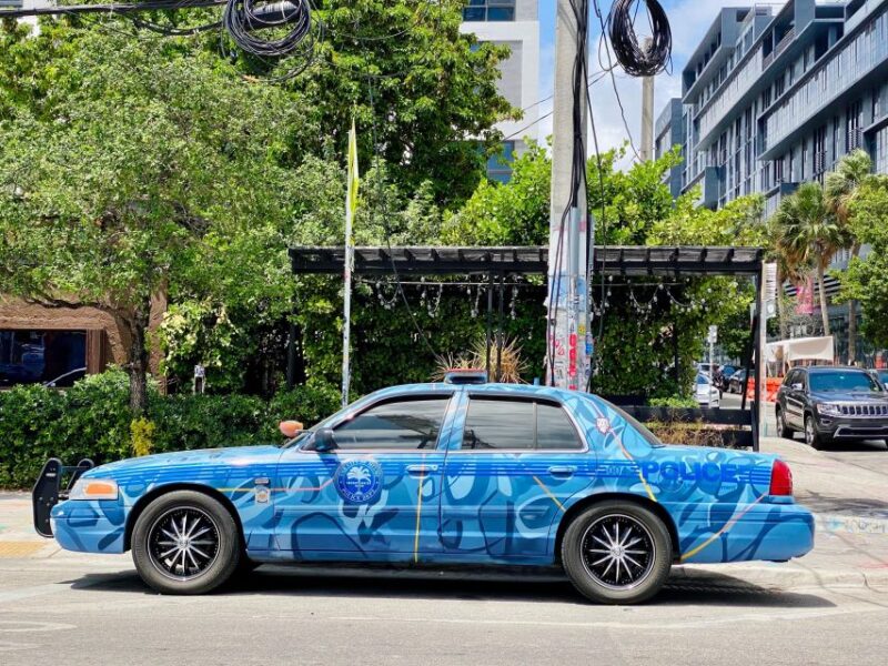 Wynwood walking tour in French (2h) - Authentic Reviews and Insights