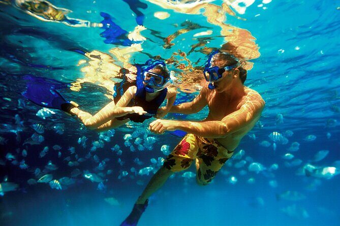 Xcaret Eco Archaeological Park Tour - Wildlife and Nature Encounters