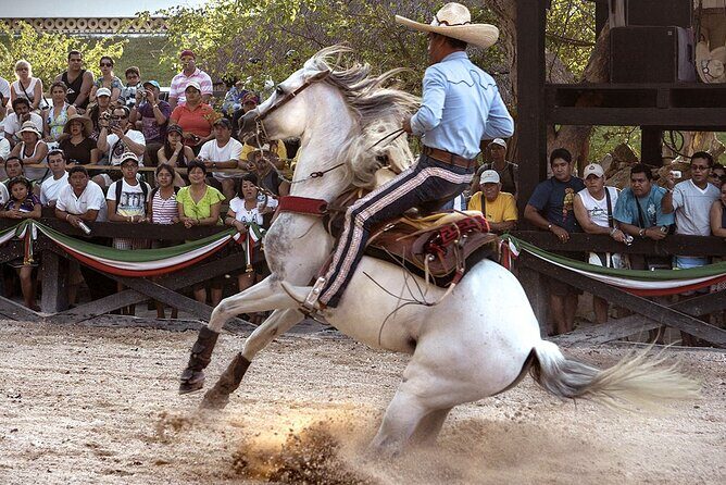 Xcaret Park Day Tour & Night Show with Transportation - The Logistics: Transportation, Timing, and Group Size