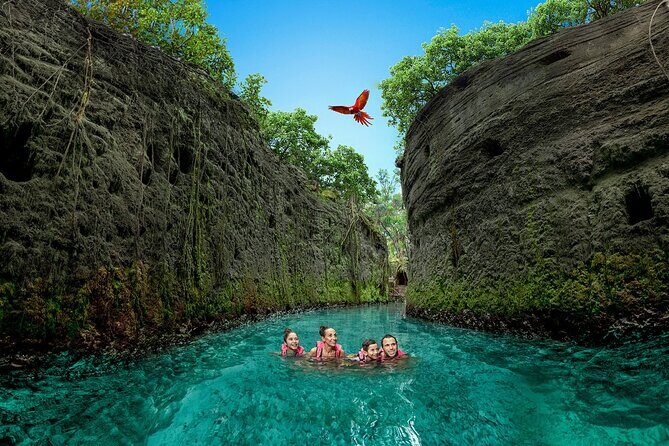 Xcaret Park Day Trip, transportation and Cultural Night Show - Introduction: An Excursion to Remember