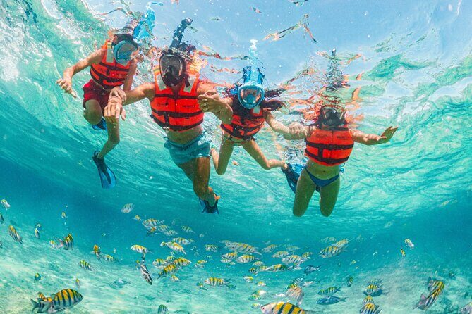 Xcaret Park Day Trip, transportation and Cultural Night Show - Authentic Experiences & Highlights from Traveler Reviews