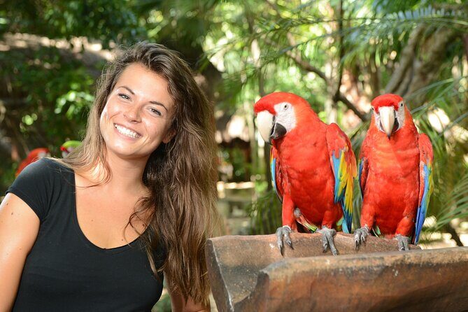 Xcaret Park Plus Access with Transportation and Night Show - Who Will Love This Tour?