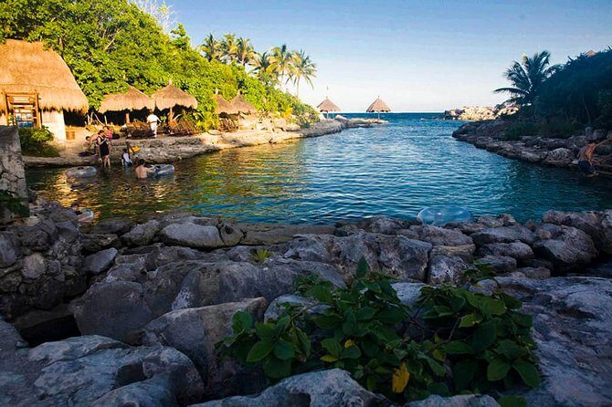 Xcaret Plus Park Tour with Transportation from Riviera Maya - The Sum Up