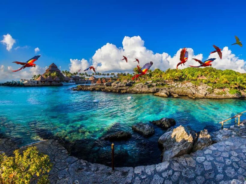 Xcaret Plus Ticket - Key Points