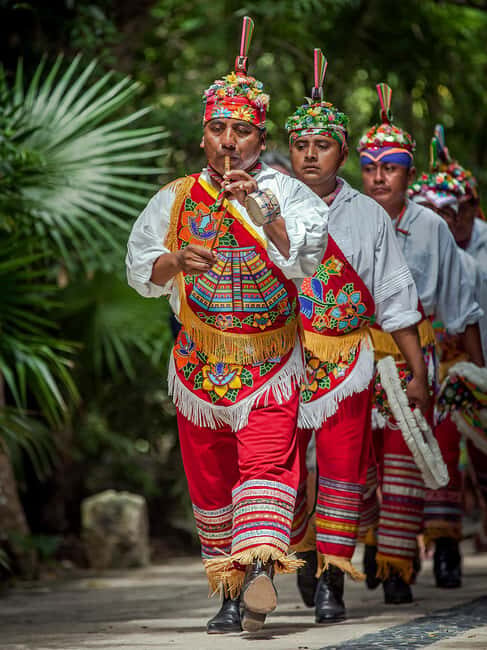 Xcaret Plus Ticket - FAQ