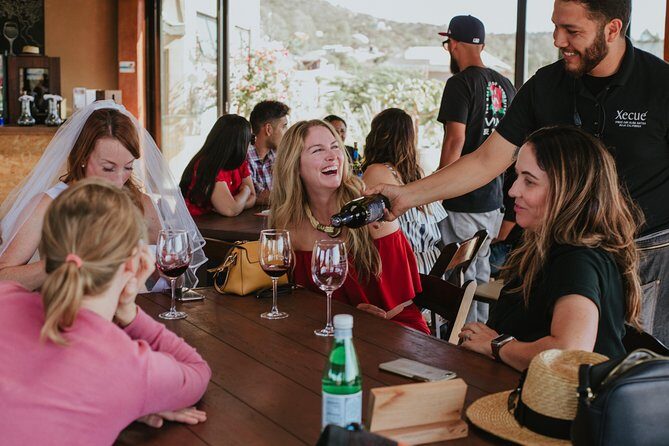 Xecue Wine Tasting in the Guadalupe Valley - A Closer Look at the Experience