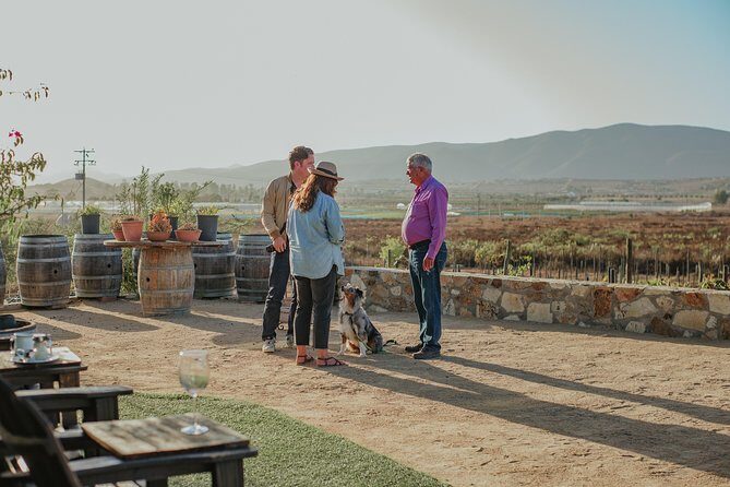 Xecue Wine Tasting in the Guadalupe Valley - Practical Tips for Travelers