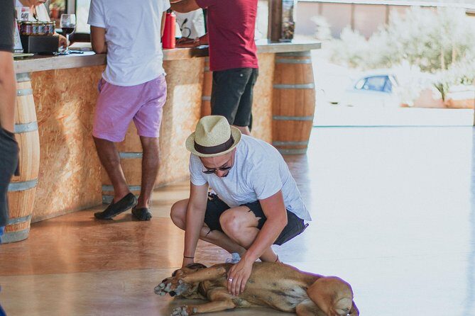Xecue Wine Tasting in the Guadalupe Valley - FAQ