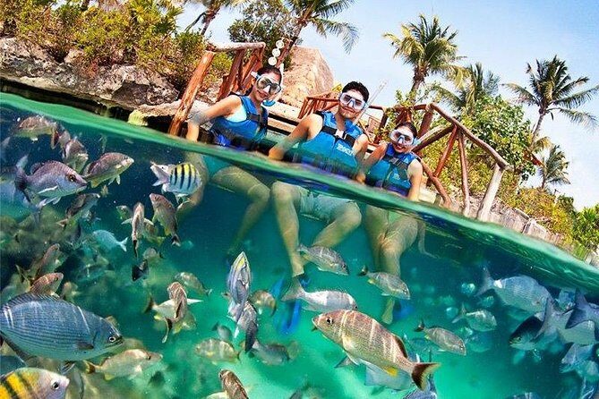 Xel-Ha All Inclusive Admission Ticket - Who Should Consider This Tour?
