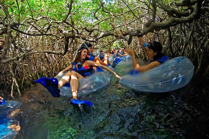 Xel ha All Inclusive - Authentic Experience & Practical Tips