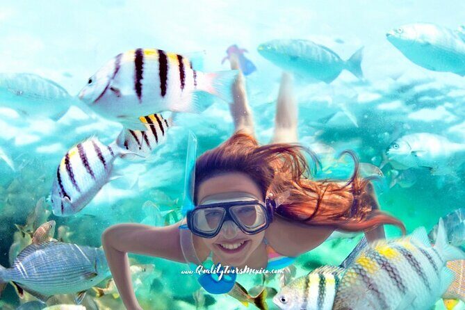 Xelha water park with transportation - Who Will Love This Tour?