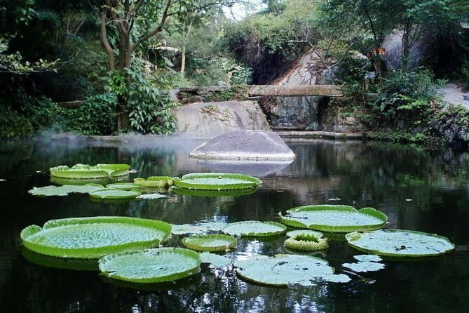Xiamen Private Day Tour Include Gulangyu Island and Botanic Garden - The Value of a Private Customized Tour