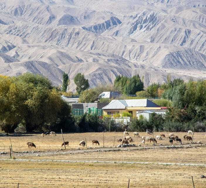 Xi'an: 12-Day Silk Road Tour to Kashgar - FAQ