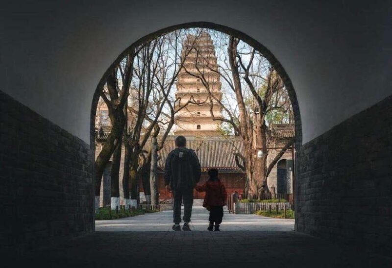 Xi'an City Wall+ Terracotta Army Museum Group Day Tour - Key Points