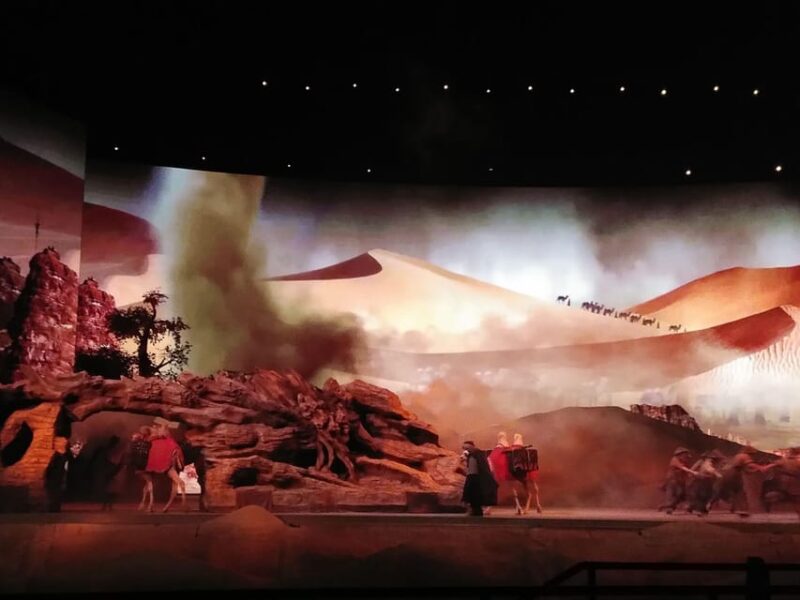 Xi'an Day Tour: Terracotta Army, Big Pagoda & City Wall - The Real Experience: Authenticity and Comfort