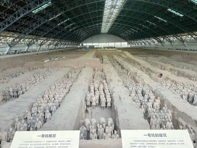 Xi'an Exclusive Terracotta Army Tour with Local Family Lunch - Key Points