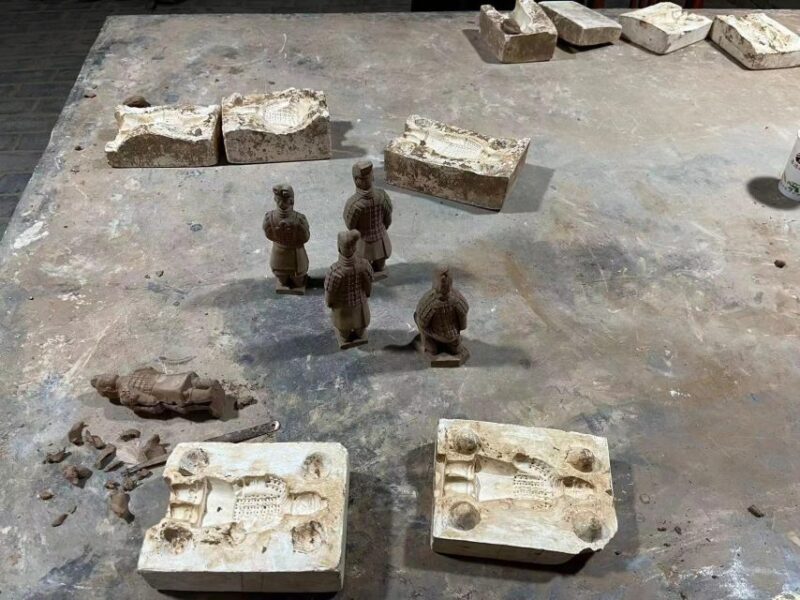 Xian: Guided Terracotta Army Bus Tour or Ticket Only Option - Who Should Book This Tour?