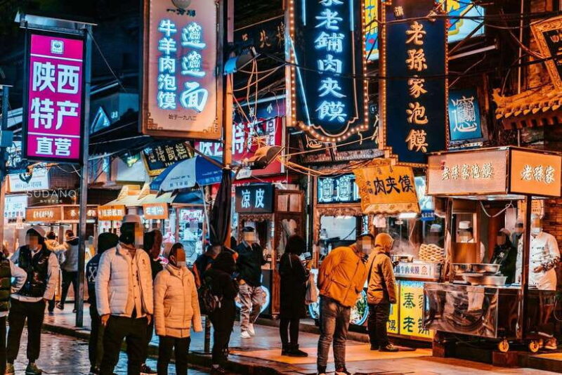 Xi'an: History and Culture Day Tour with Lunch and Dinner - Who Should Consider This Tour?