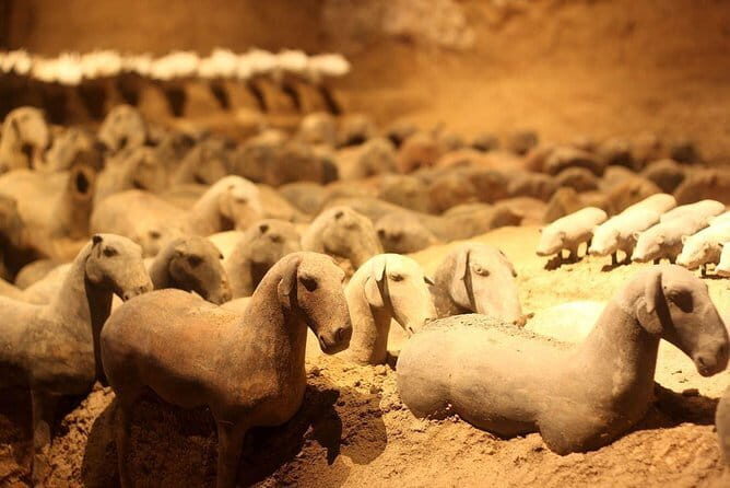 Xi'an Private Tour: Ancient City Wall, Museum, Pogoda - Who Is This Tour Best Suited For?