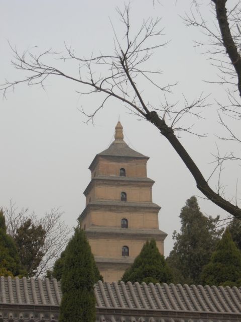 Xi'an: Terra-Cotta Warriors Entry with Optional Guide - Key Points