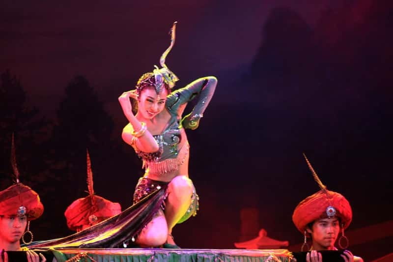 Xi'an Terra Cotta Warriors Tour with Tang Dynasty Show - Who Would Love This Tour?