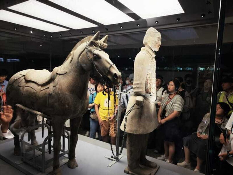Xi'an: Terracotta Army Museum Group Day tour - Pricing and Value