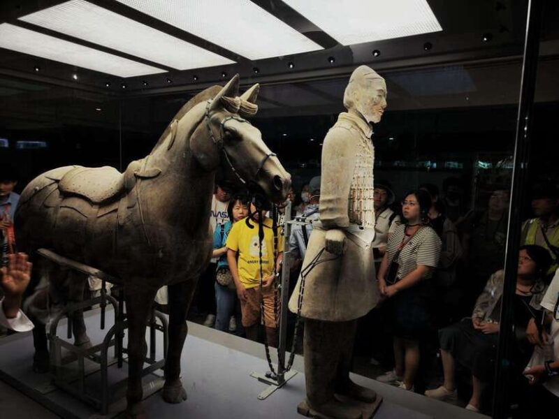 Xi'an: Terracotta Army Museum Group Tour/Tickets only option - Introduction: A Practical Look at the Xian Terracotta Army Tour