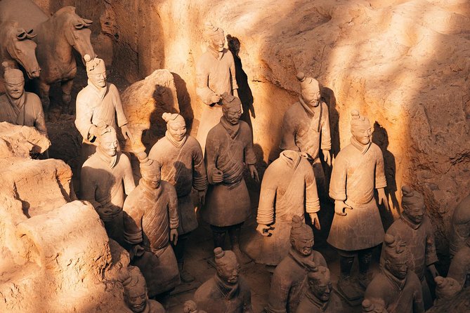 Xian Terracotta Warriors and Horses Highlight Day Tour - The Big Wild Goose Pagoda