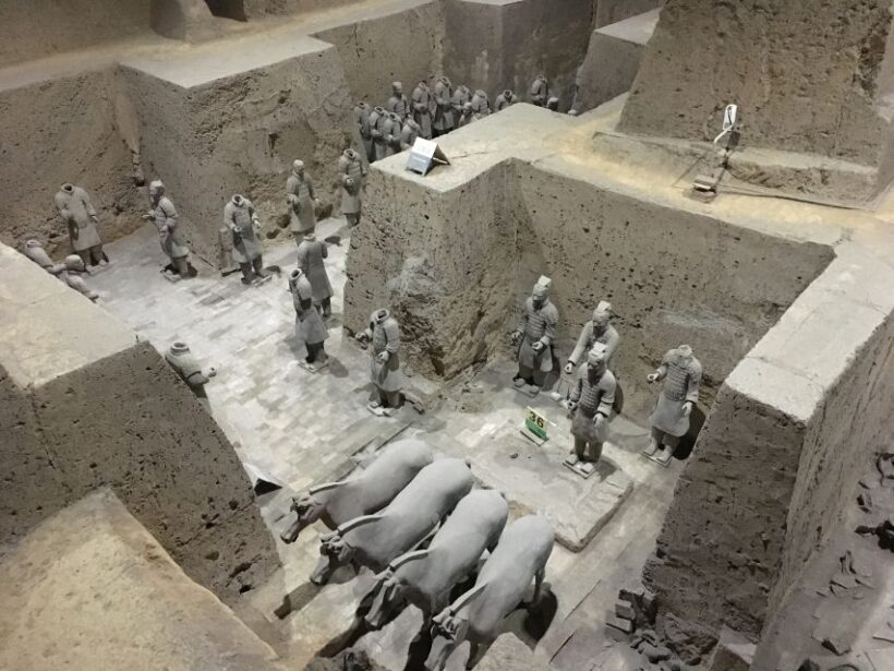 Xi'an:Terracotta Army Museum Walking Tour with Entry Tickets - Overview of the Tour Experience