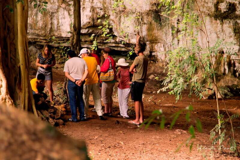Xkopek, Mayan Bees Tour and Honey Tasting in Valladolid - An In-Depth Look at the Mayan Bees Tour