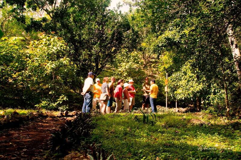 Xkopek, Mayan Bees Tour and Honey Tasting in Valladolid - Final Thoughts