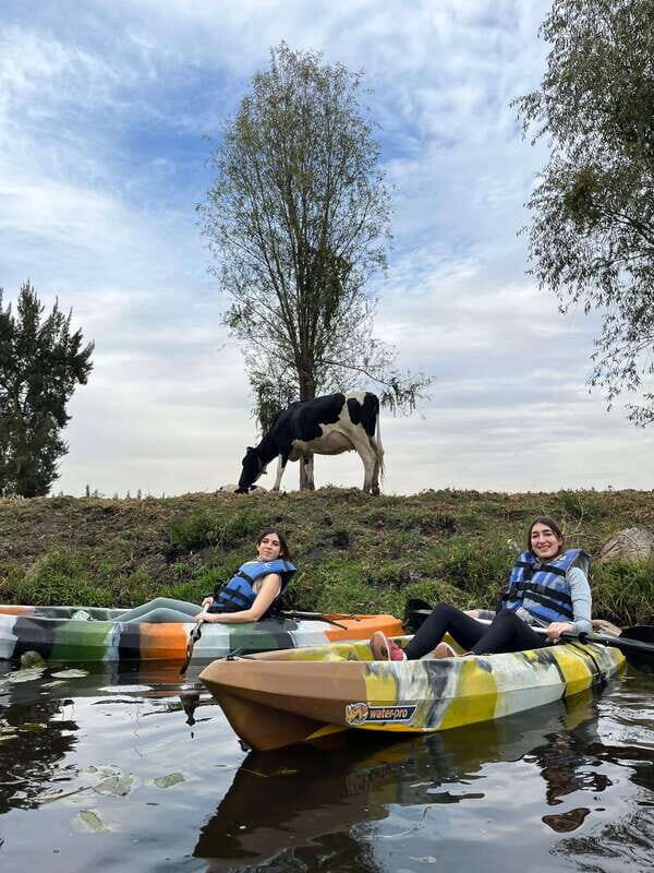 Xochimilco: amanecer en kayak Ciudad de México - The Paddling Experience and Scenic Highlights
