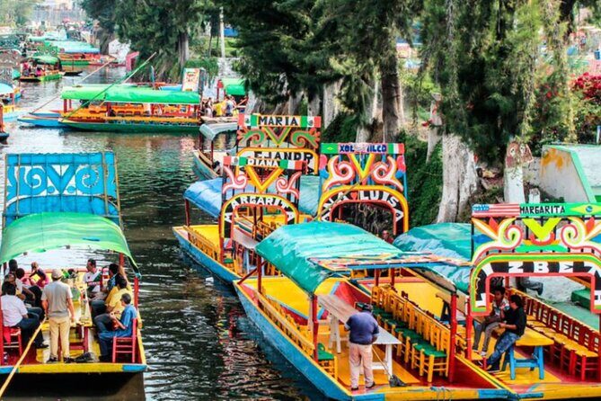 Xochimilco and Mixquic from CDMX Day of the Dead Party - Who Should Consider This Tour?