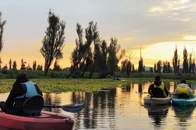 Xochimilco Canals by Kayak - Group Size and Pacing