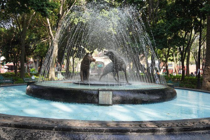 Xochimilco, Coyoacán and Frida Kahlo Museum Private Tour - Final Thoughts