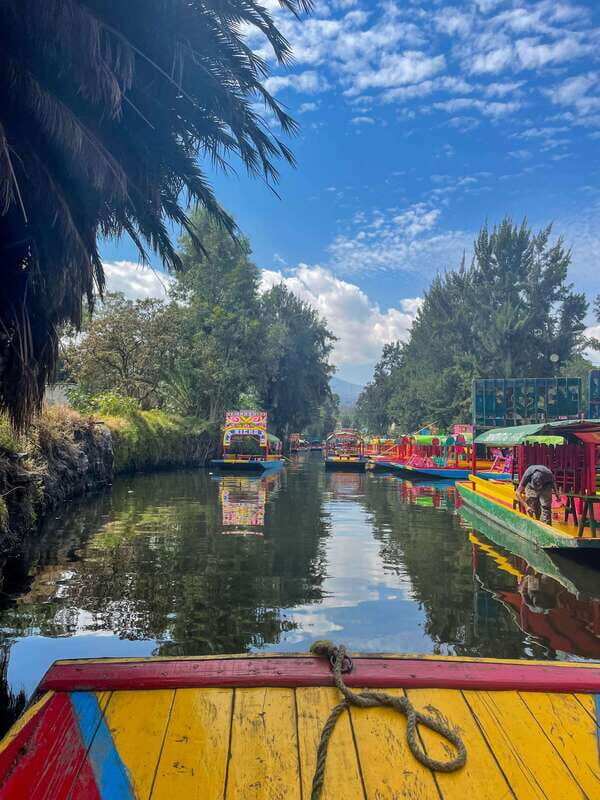 Xochimilco + Coyoacán Combo Full-Day Tour - Detailed Review of the Xochimilco + Coyoacán Combo Tour