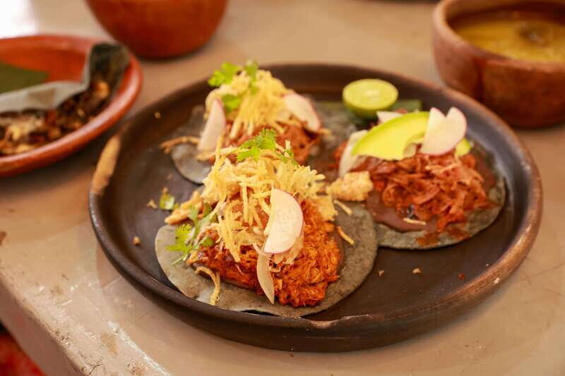 Xochimilco + Coyoacán Combo Full-Day Tour - Final Thoughts
