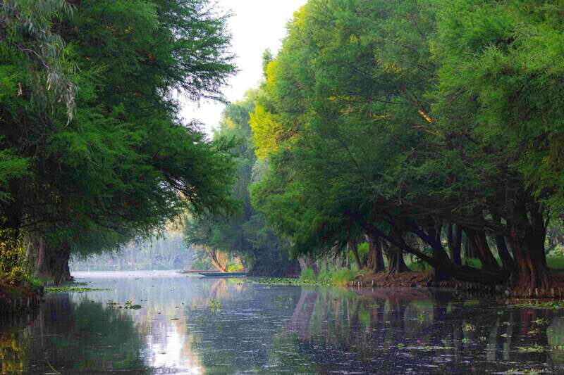 Xochimilco Day Trip: Farmland Food and Hop on a Trajinera - Exploring Xochimilco’s Natural and Cultural Wonders