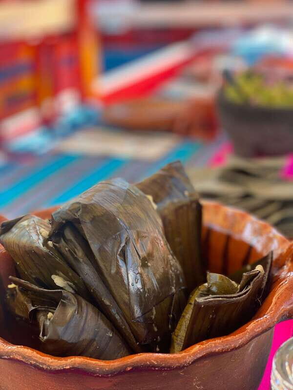 Xochimilco: Eco Tour With Food - Who is This Tour Best For?