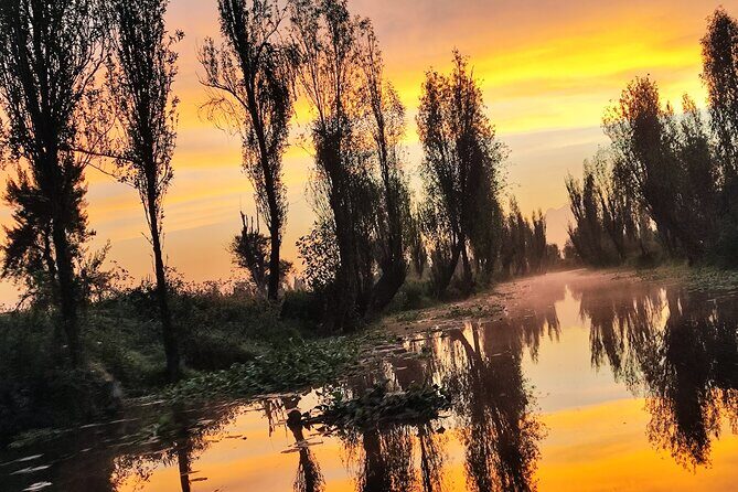 Xochimilco Ecotourism at Dawn in Canoe and Organic Breakfast - Key Points