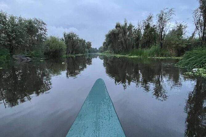 Xochimilco Ecotourism at Dawn in Canoe and Organic Breakfast - Considerations