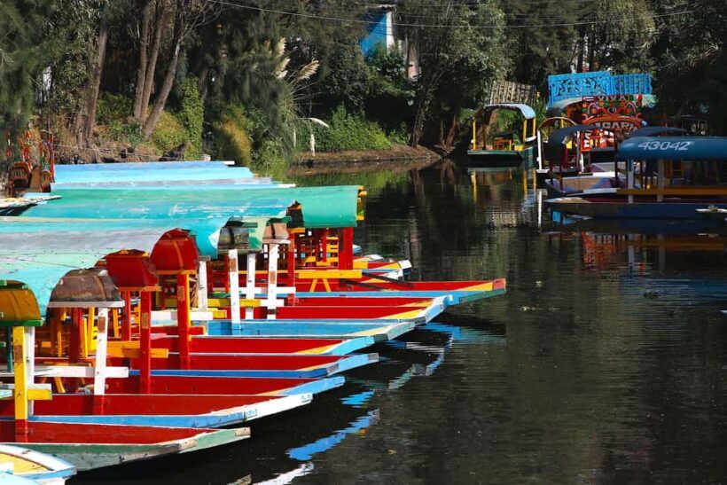 Xochimilco: Party on a trajinera with food, drinks, and music - Final Thoughts
