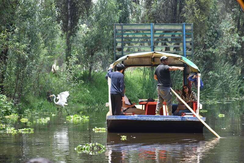 Xochimilco Serene: A Calm Cultural Escape from the Crowds - Discovering a Peaceful Side of Xochimilco