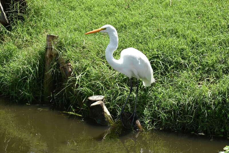Xochimilco Serene: A Calm Cultural Escape from the Crowds - FAQs