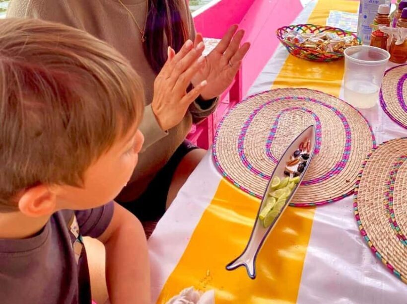 Xochimilco's Wild Side: Mezcal, Insects & Culture - Practical Details & What to Expect